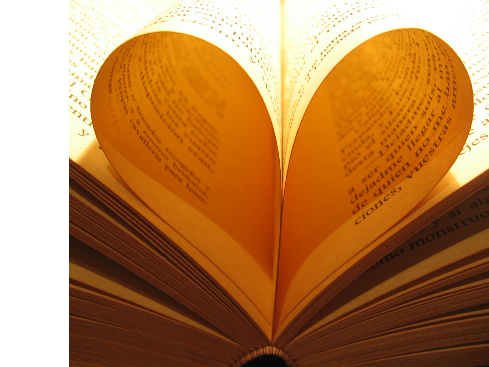 Antonia Romero: 2015