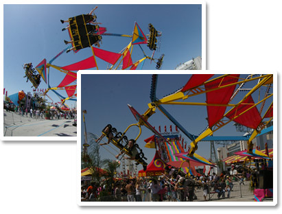 Houston Livestock Show and Rodeo | MIDTOWN LIVE