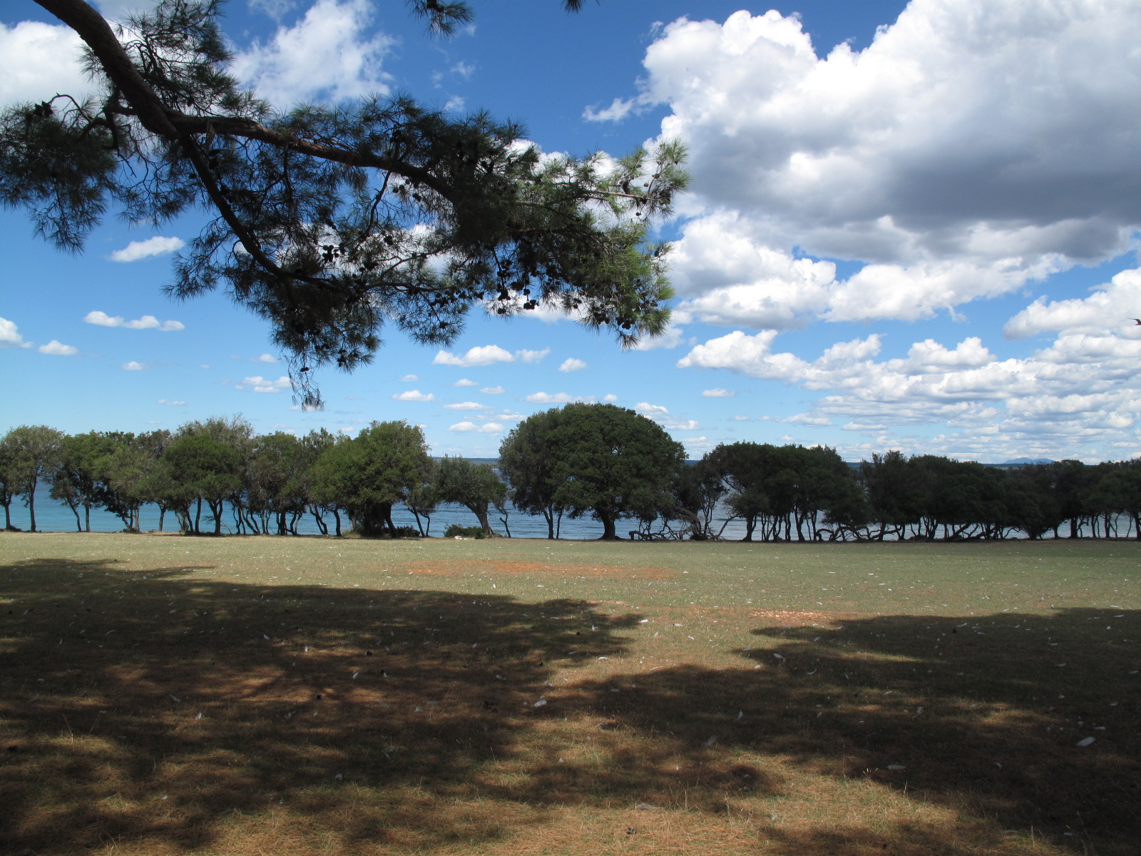 Islas Brijuni, el paraiso de Tito | botas de flores