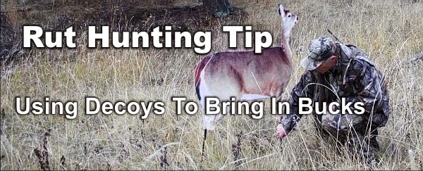 Whitetail Deer Passion: Rut Tactics: Using Decoys To Bring In Bucks