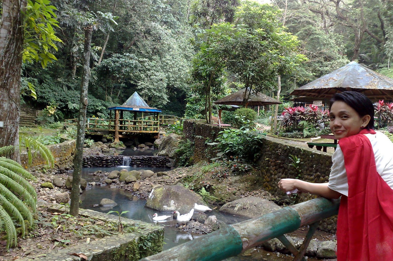 February 2011 | Island Travel