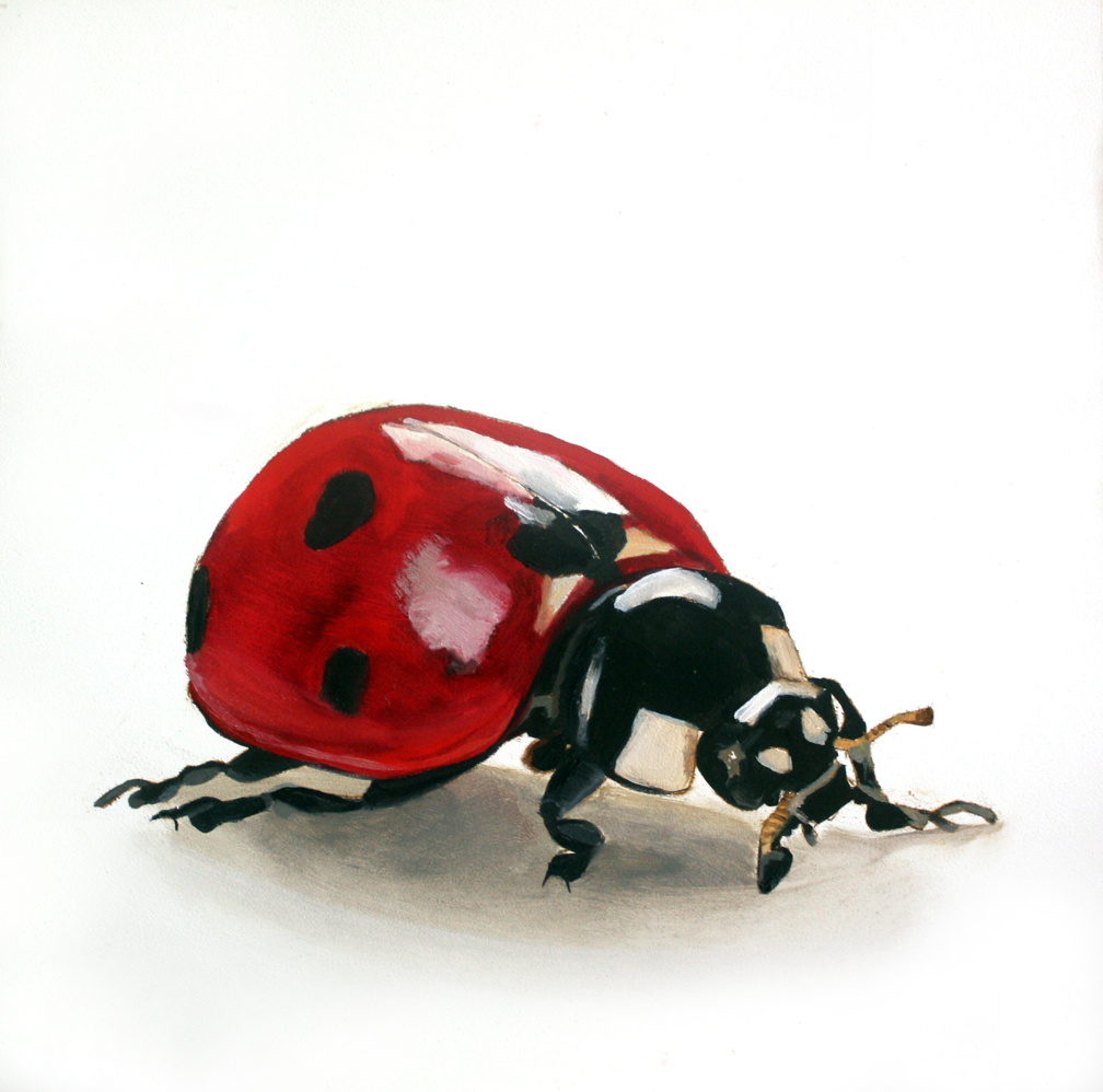 suzanne berry: THE LADYBUG INSTALLATION Number One