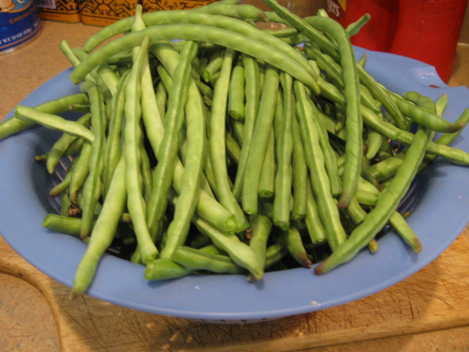 Growing Food in Florida: Time to harvest cowpeas