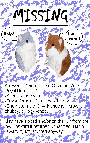 Faith'sbook: Missing: Hamsters