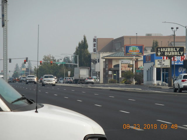 Number 878: The Farthest Man From Home: Blue Tree New York