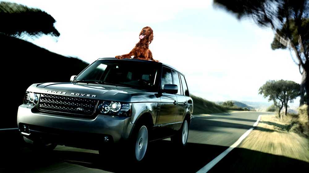 Mitt Romney dog incident