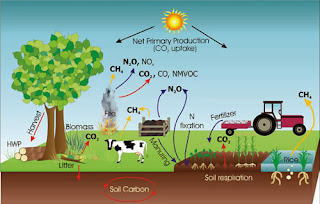 Various Methods of Separating Methane from the Product Gas