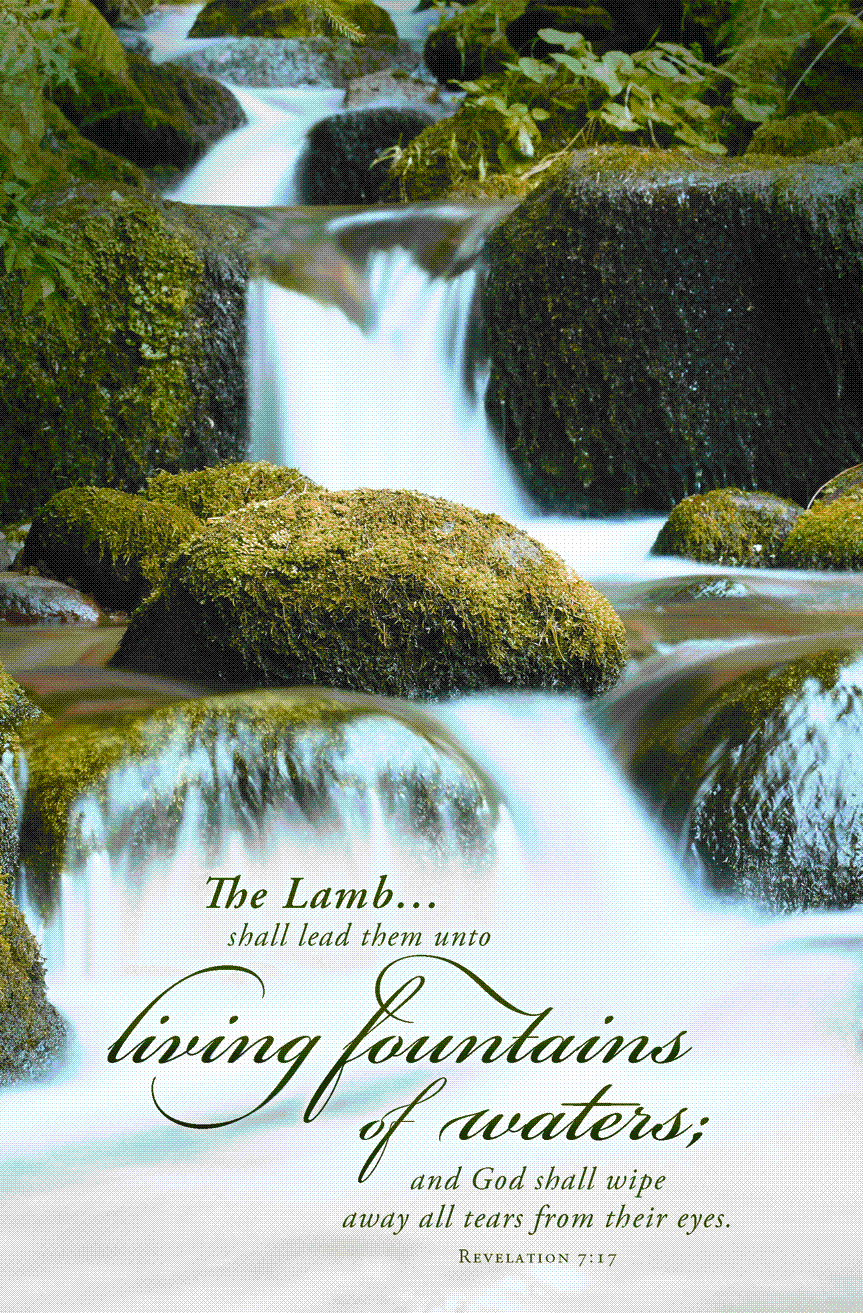 God's Word with friends