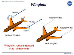Stem Biomimicry Eagle Winglets : biomimicry Eagle Winglets