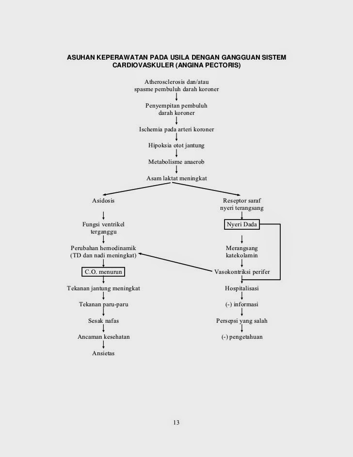 DAVID RHIO AGATHA: Pathway Angina Pectoris