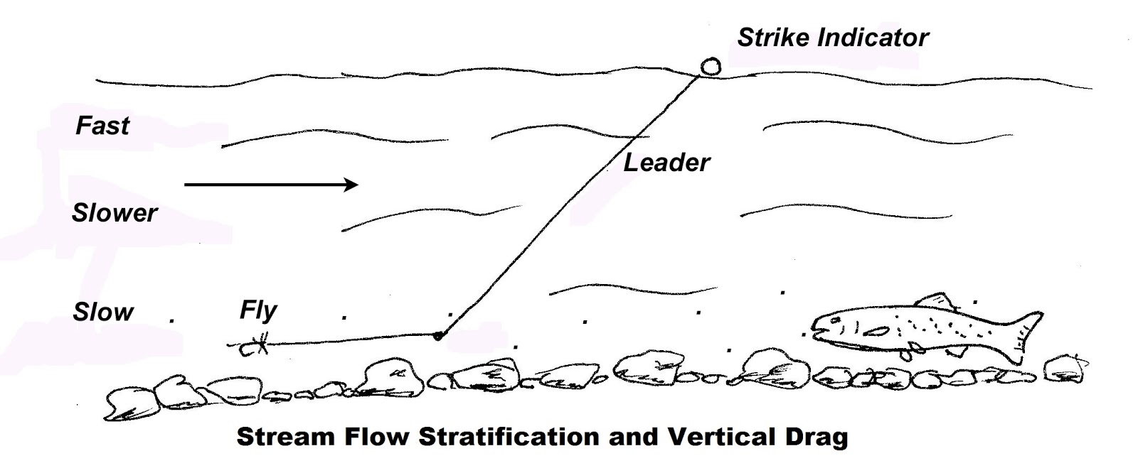 ALL ABOUT FISHING: NYMPH-OLOGY AND VERTICAL DRAG