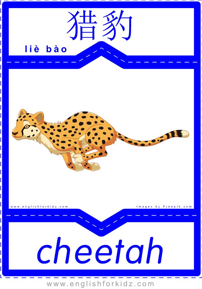 English for Kids Step by Step: March 2019