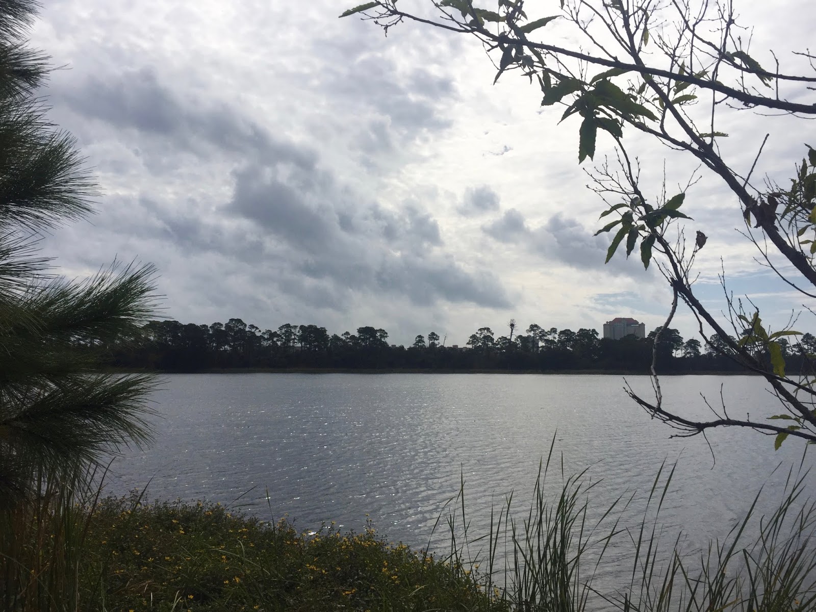 Travel Reviews & Information: Alabama Recreation: Bon Secour National ...