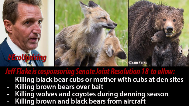 EcoUprising: Senator Jeff Flake is Co-Sponsoring Return of Unethical ...