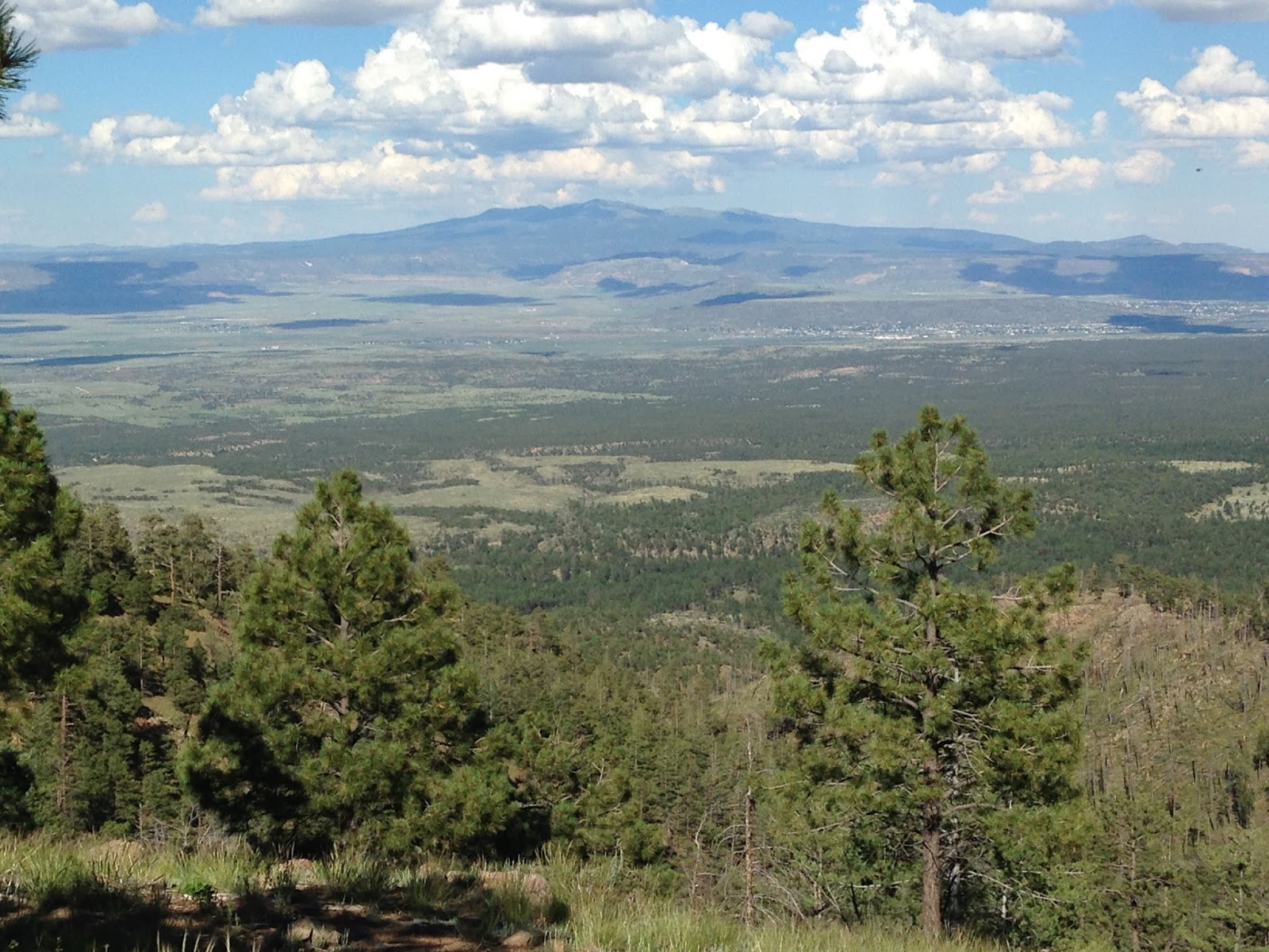Southern New Mexico Explorer: Mount Sedgwick, Zuni Mountains- Cibola ...