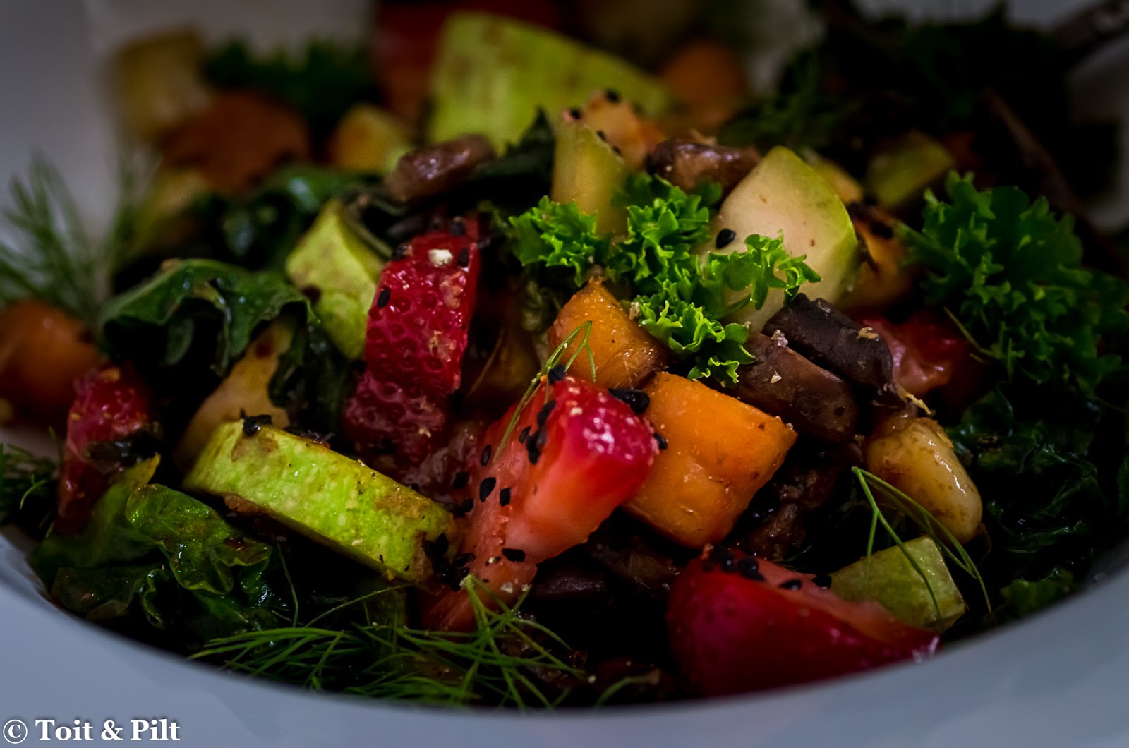 TOIT & PILT: Lihtne panniroog