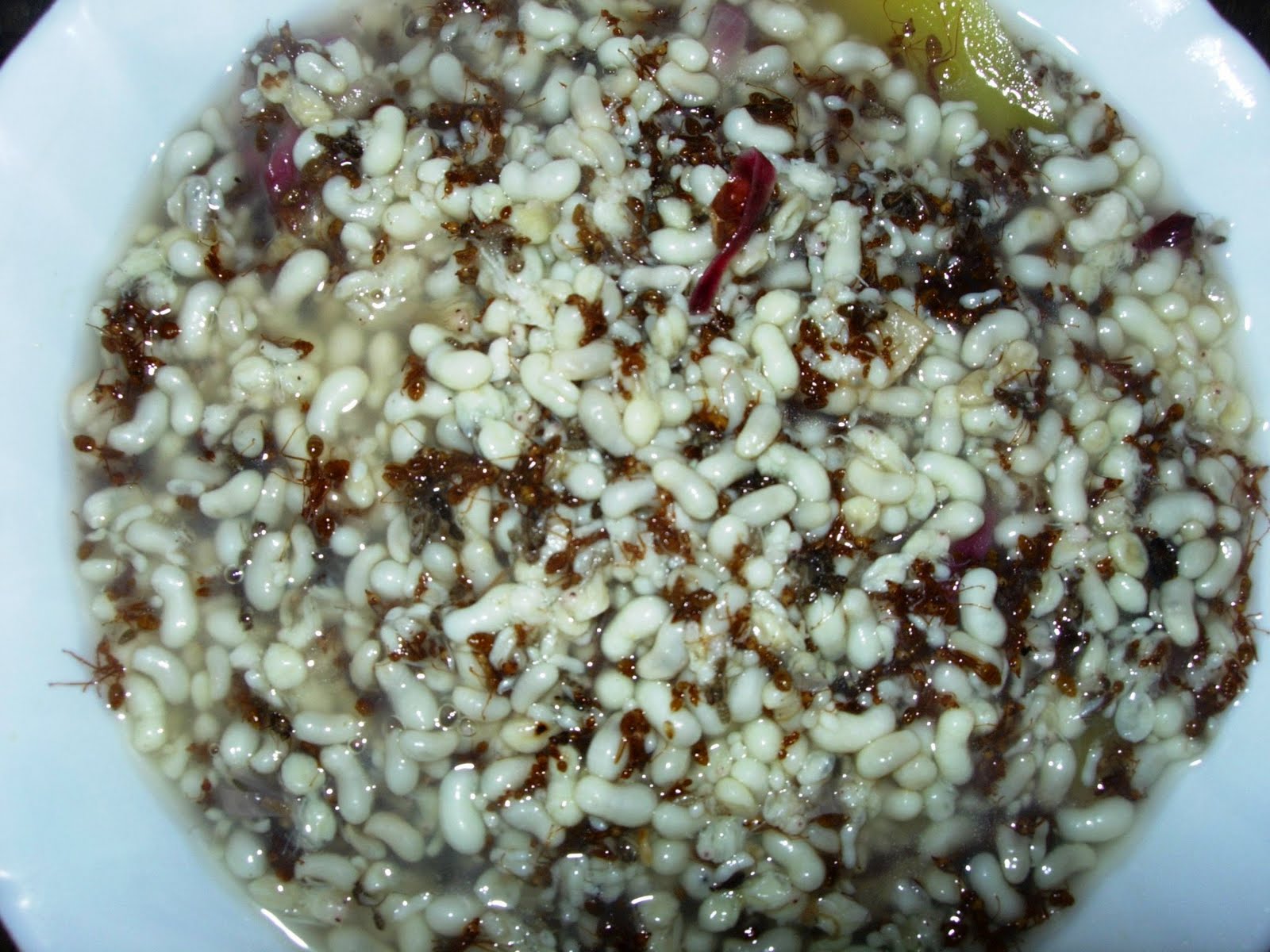 Filipino Cuisine: Itlog ti Aboos