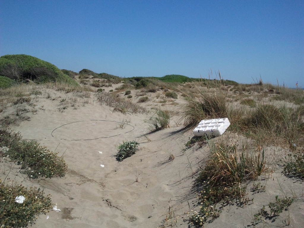 ROMA FA SCHIFO: Capocotta, un ex paradiso naturale è diventato un luogo ...