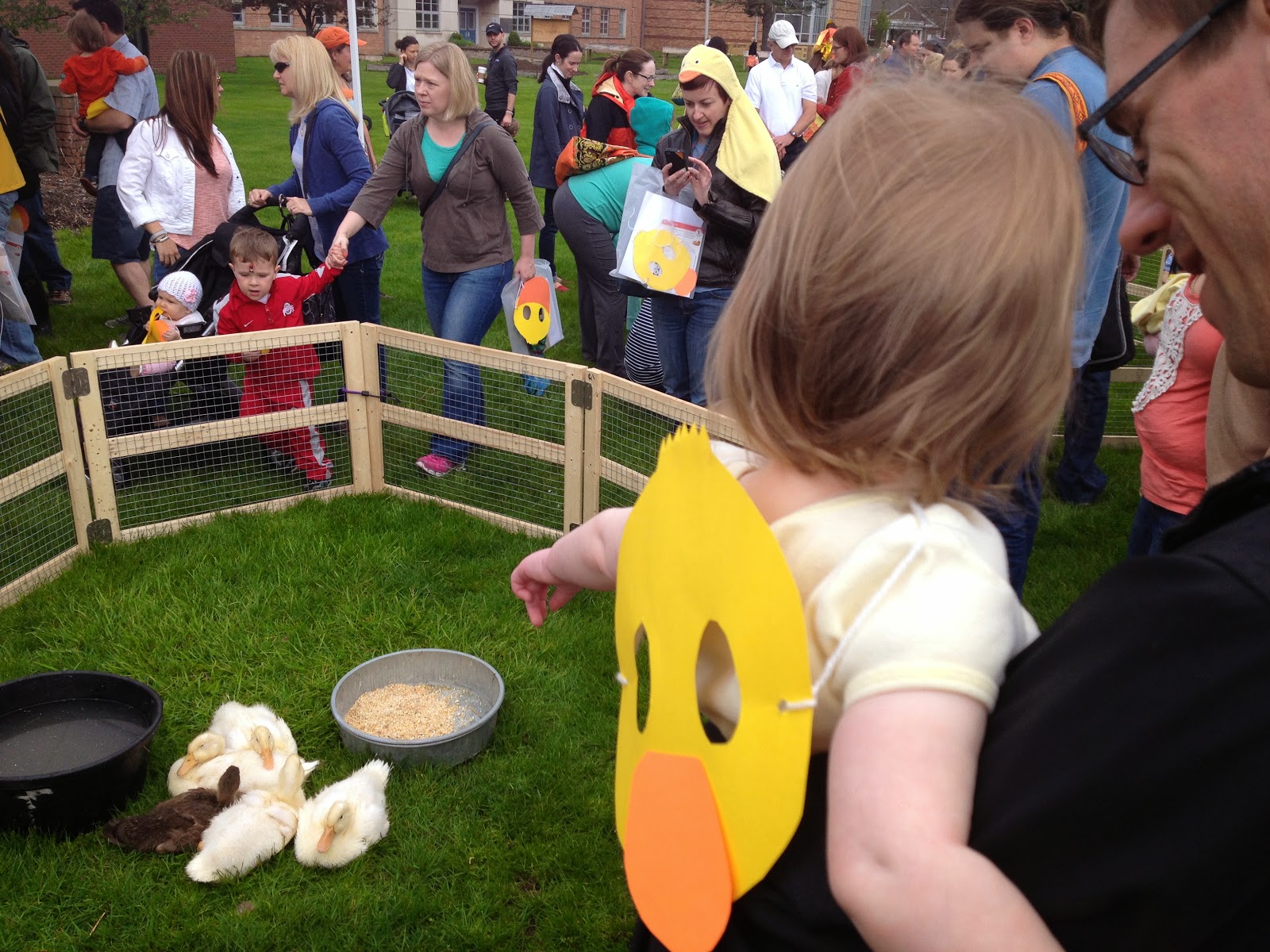 Pay a Visit: Duckling Day at Whetstone Library