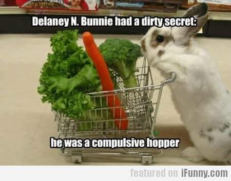 Rabbit Ramblings: Funny Bunny Monday Meme*day
