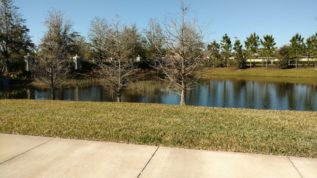 PlanningNews.blogspotcom: Storm Water Detention / Retention Ponds