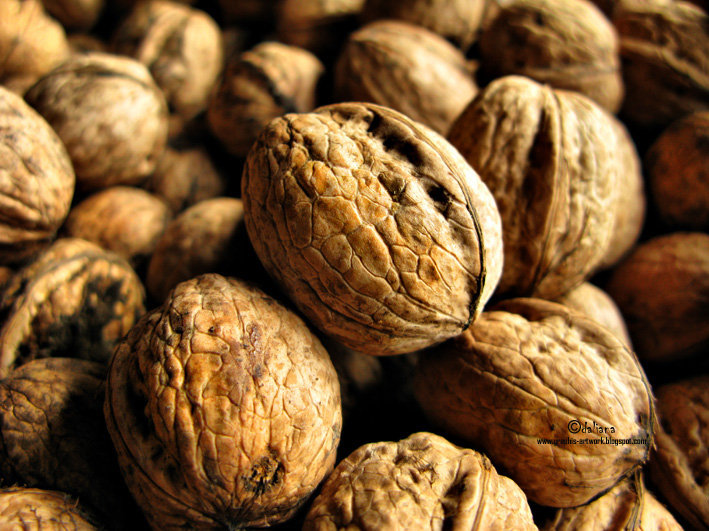 Photographis: October 2011