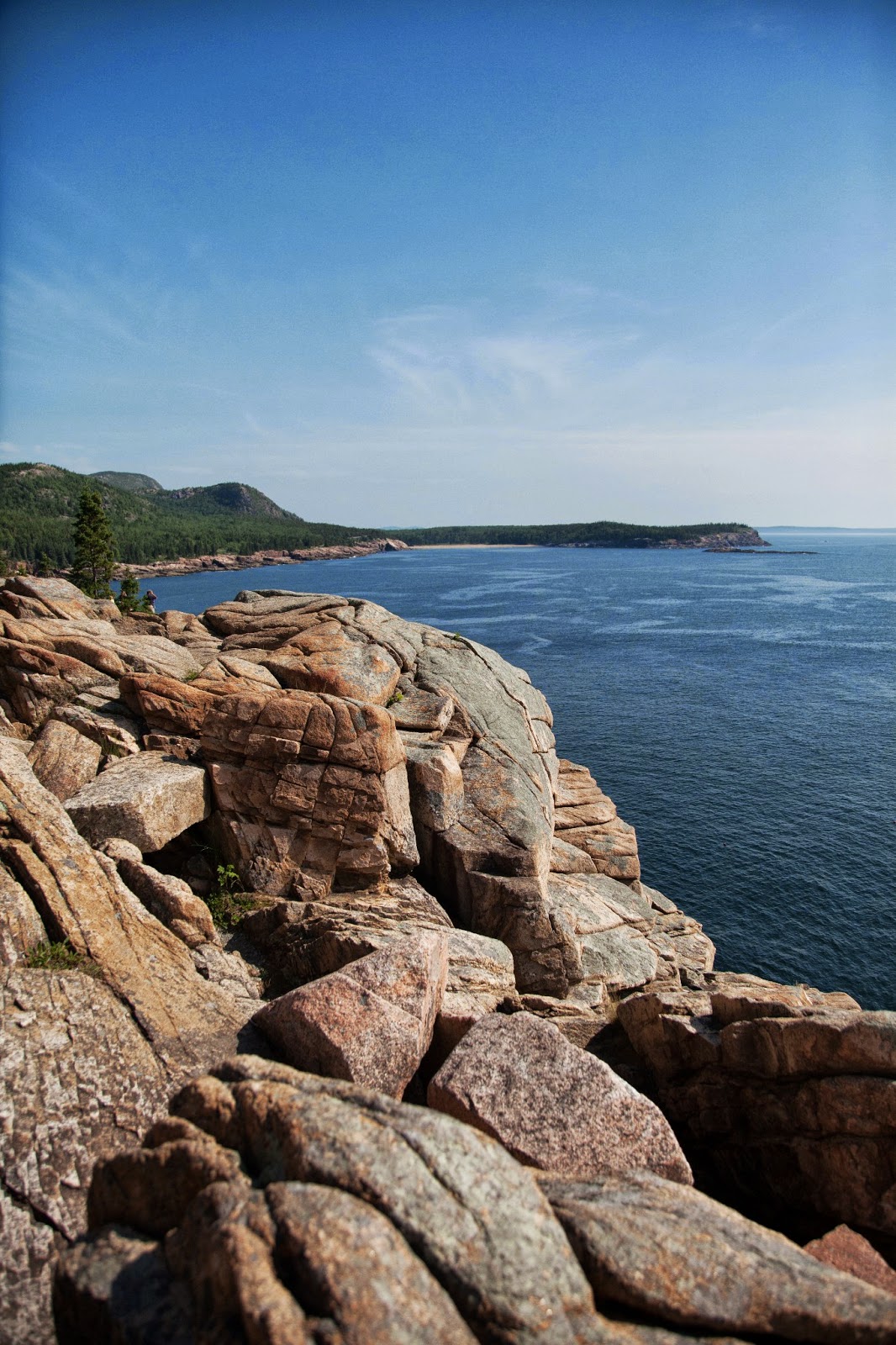 Acadia National Park | Bear Count