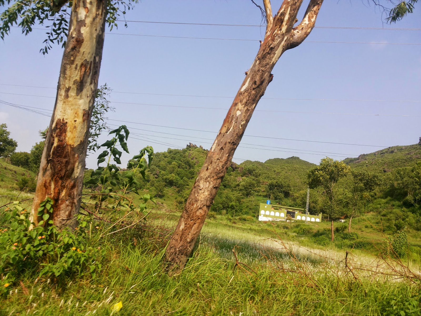 Voice of Sudhnoti: Pallandri, Azad Kashmir.