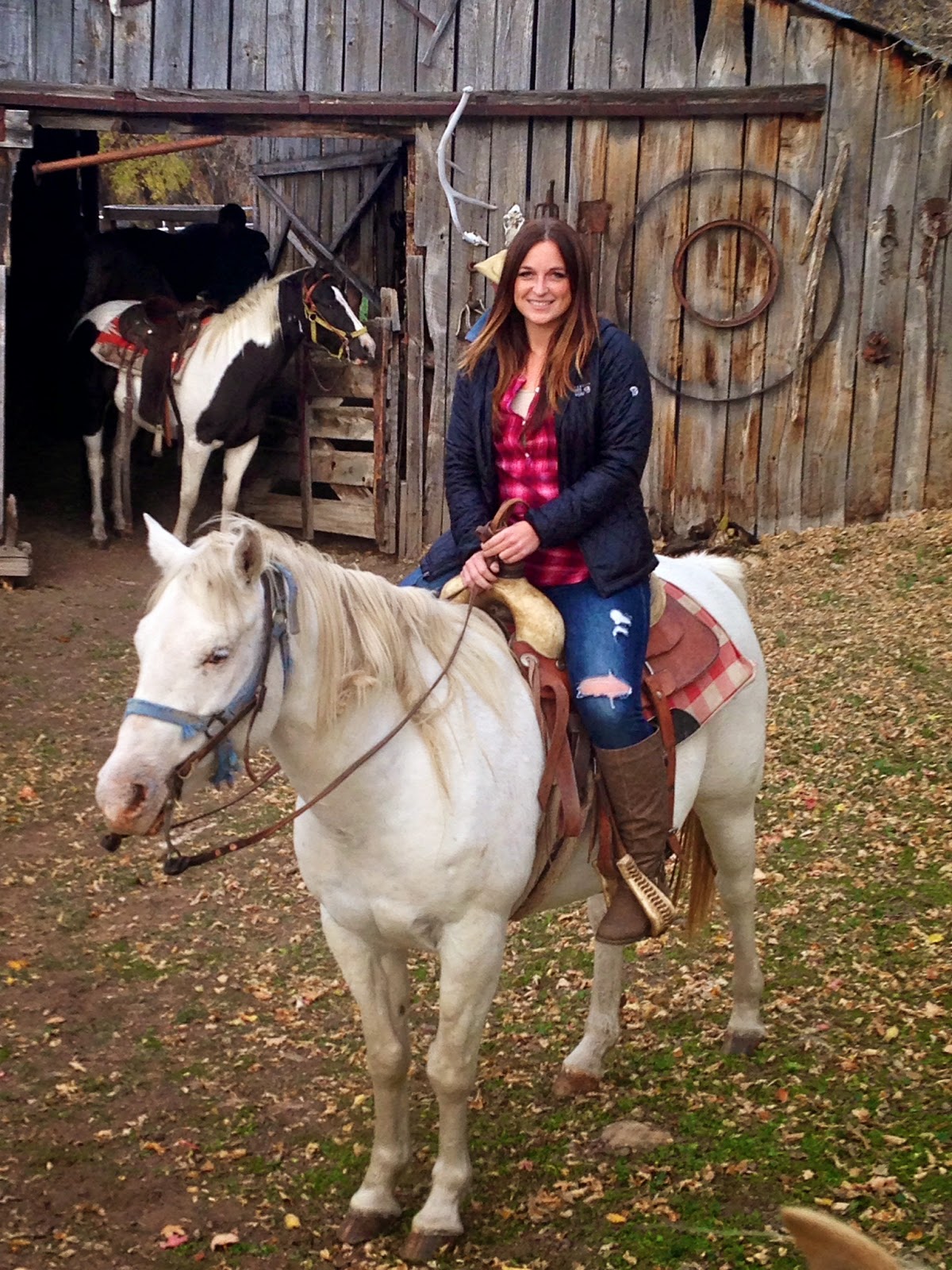 Life of Tracy: Fall Horse Riding