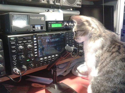 W. M'sia Ham Radio Station - 9M2ESM (EX-9W2ESM): Animal & Ham Radio