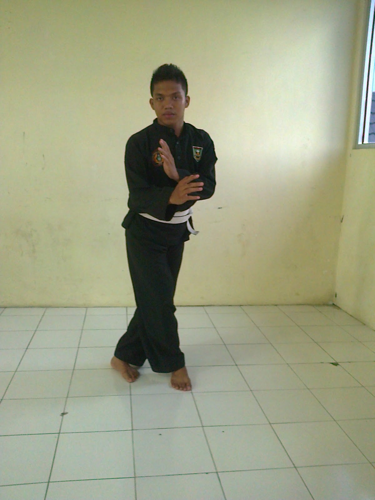 apricon: kuda-kuda dalam pencak silat