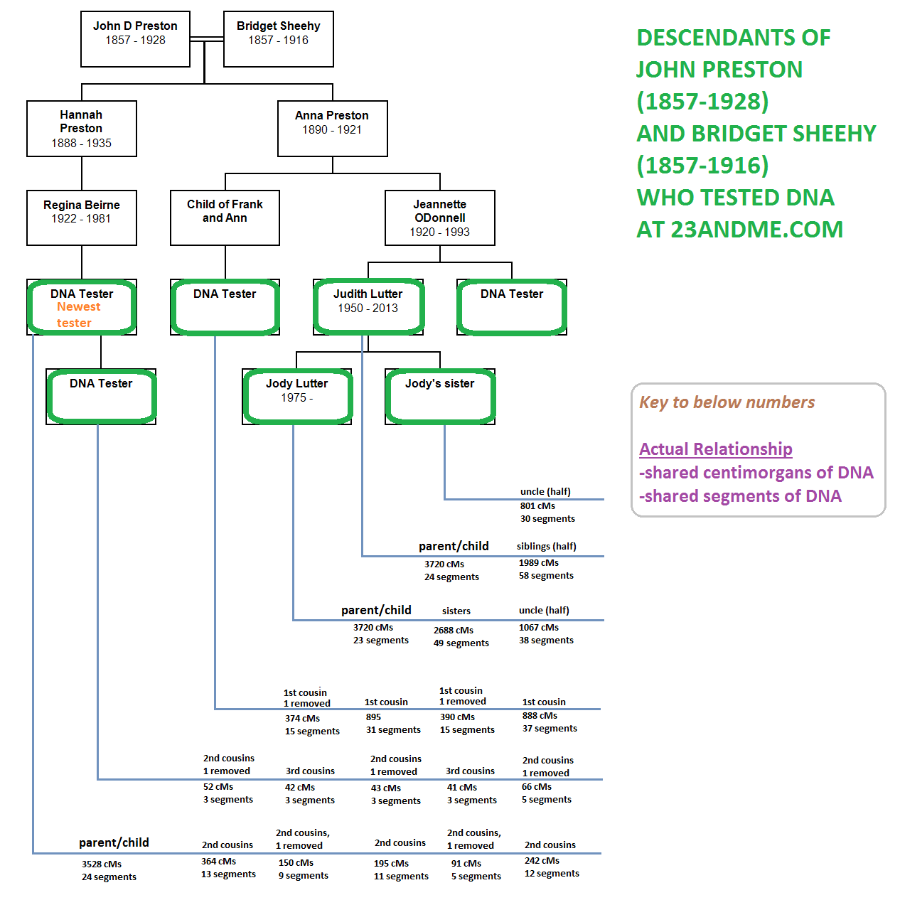 Family History Research by Jody Lutter: DNA of Preston Sheehy ...