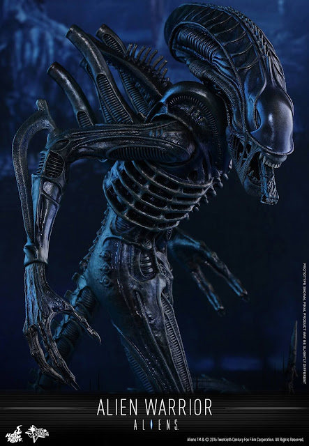 toyhaven: Hot Toys all new "Aliens" Xenomorph 1/6th scale Alien Warrior ...