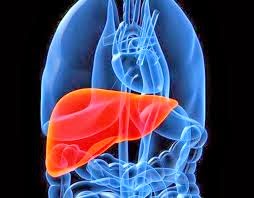 Info Official blog Agung Supriadi: Informasi Pada Penyakit Liver