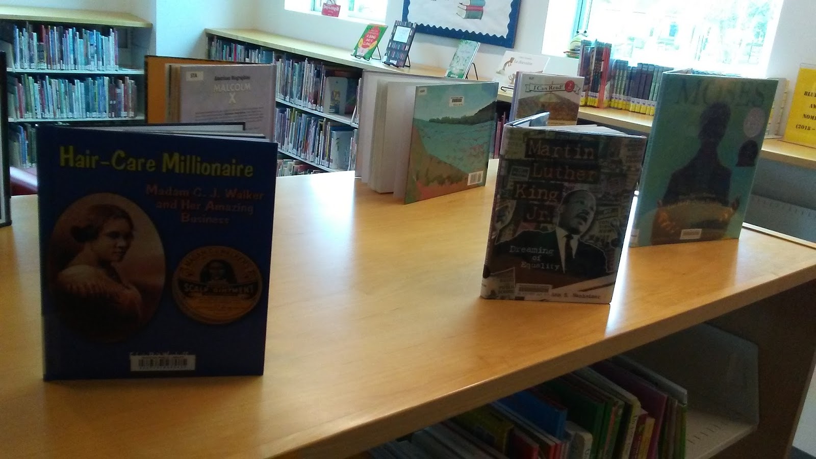 Stanaker Neighborhood Library: February 2018