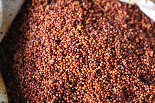 Homemade Ragi Powder Recipe / Baby Ragi Powder Recipe / Sprouted Ragi ...