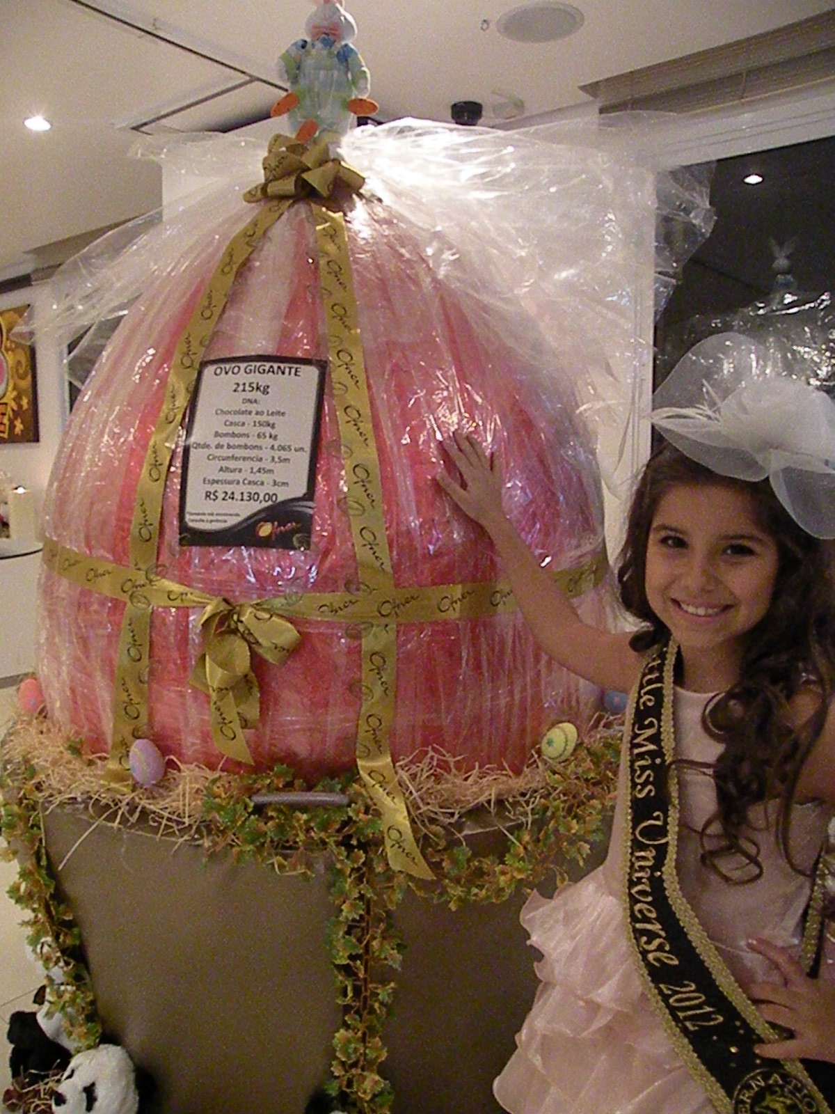 Juliê Rodrigues: Juliê Rodrigues Little Miss Universe ( Mini Miss ...