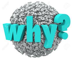 Why Did You Choose Stem Strand