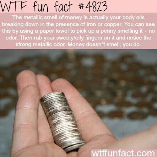 30 Random Facts That Will Simply Astonish You | Amazing WTF Facts