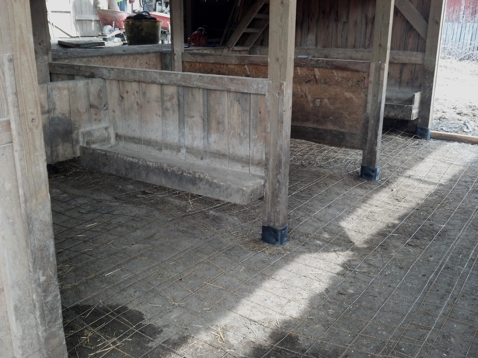 Conser Run Report: Barn wall repair, concreting pig pens, legacy update!