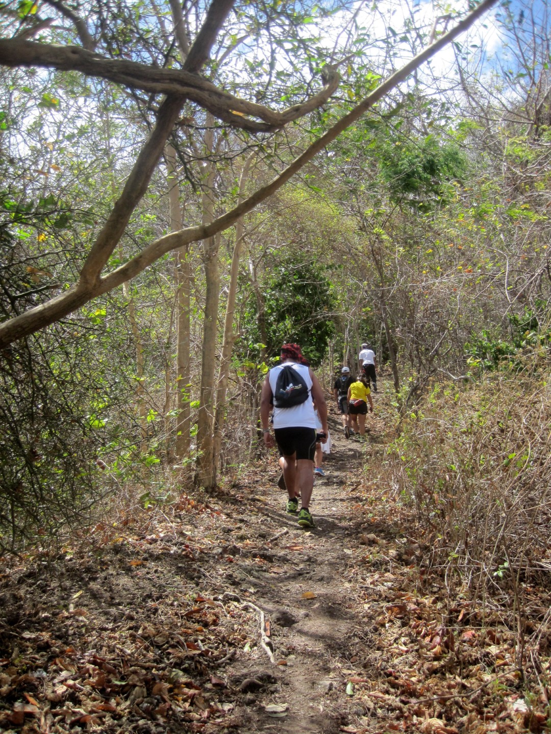 Trail Running Philippines : Salomon X-Trail Run 2013 – Hamilo Coast ...