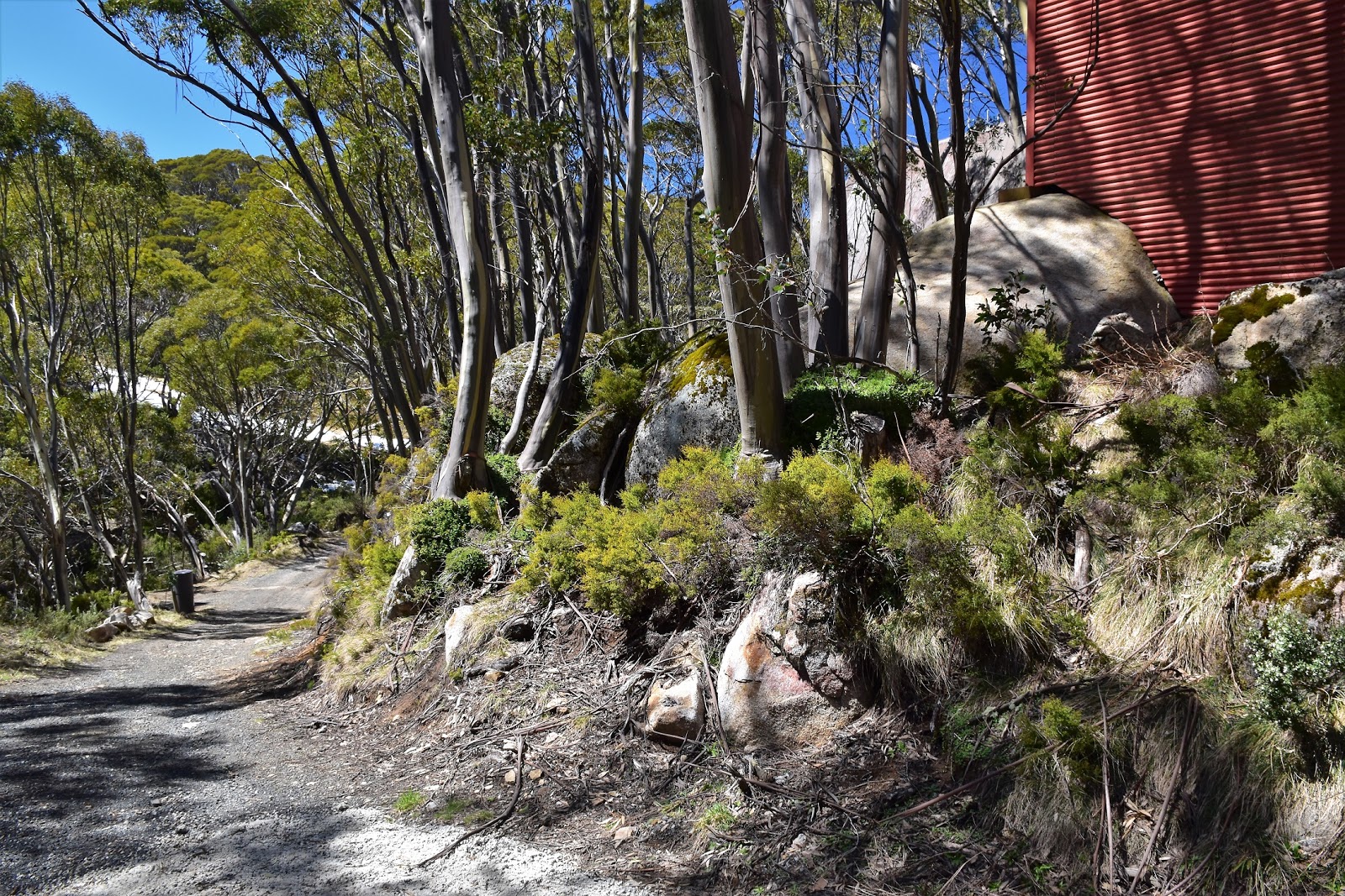 Goin' Feral One Day At A Time: Baw Baw Village Circuit, Baw Baw ...