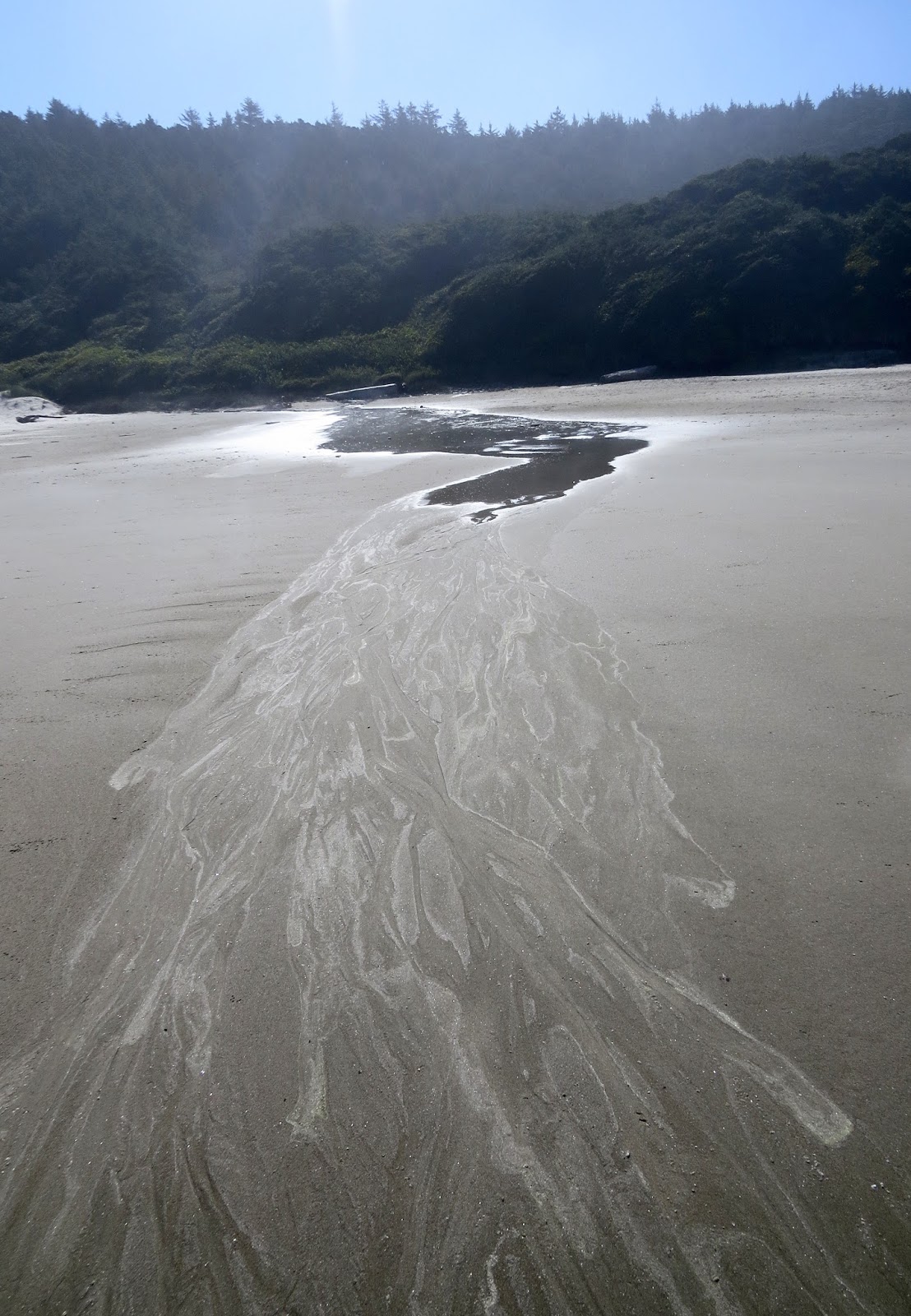 Where's Liz? 2016: Hobbit Beach Trail, Florence, Oregon