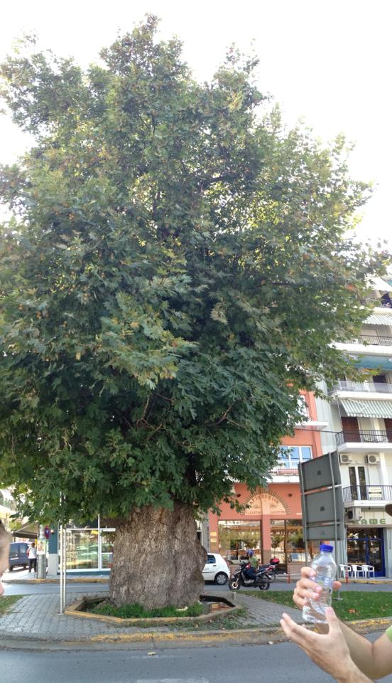 The Bible Brought to Life - Study Abroad 2013: Meteora - Berea - Pella ...