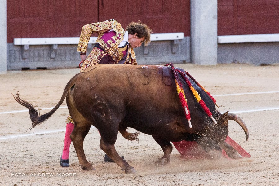 Del toro al infinito: 3ª "SAN ISIDRO: ROMÁN TIENE FUTURO / Por Domingo ...