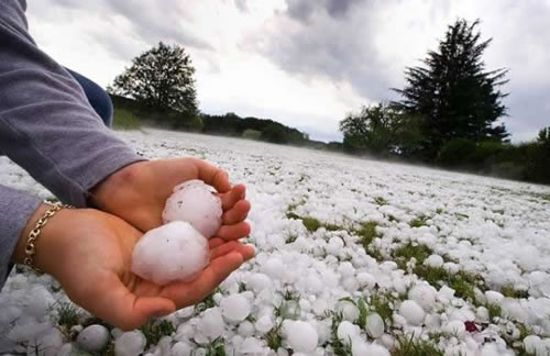 Collin County Market Watch: Hail Damage : What to do if your home has ...