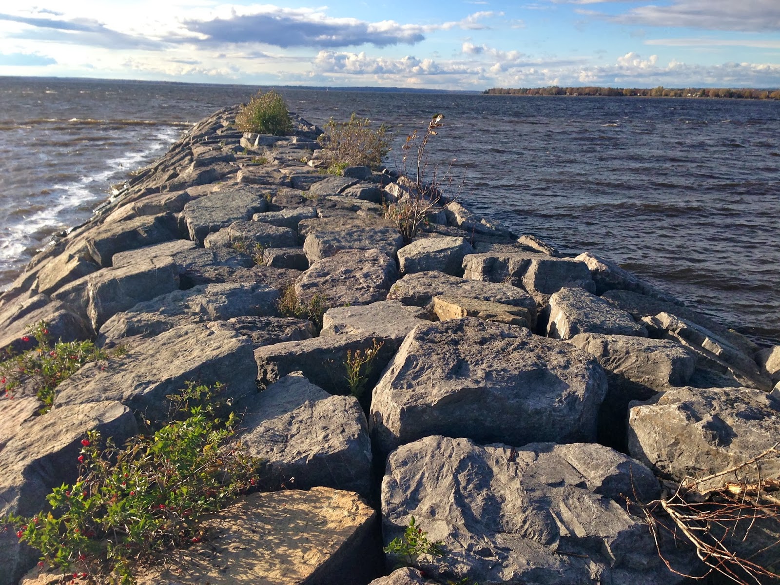 fall in Britannia Park fall in Britannia Park - Beth Kaplan