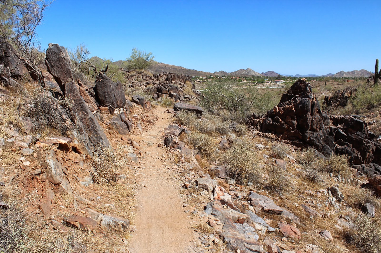 gjhikes.com: Dreamy Draw Nature Trail