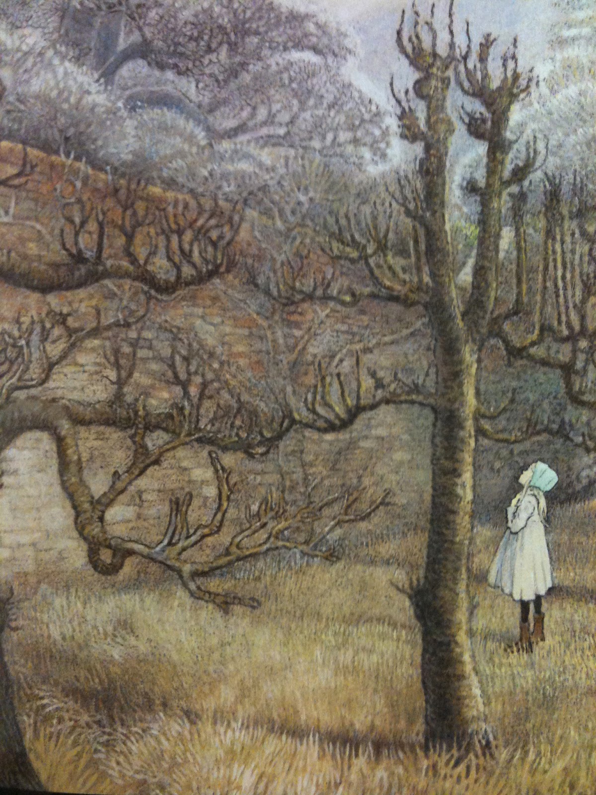 surface fragments: Children's Illustration Artist Profile: Inga Moore