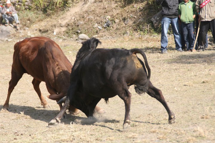 SHARE TWEET TELEGRAM WHATSAPP PIN IT SHARE